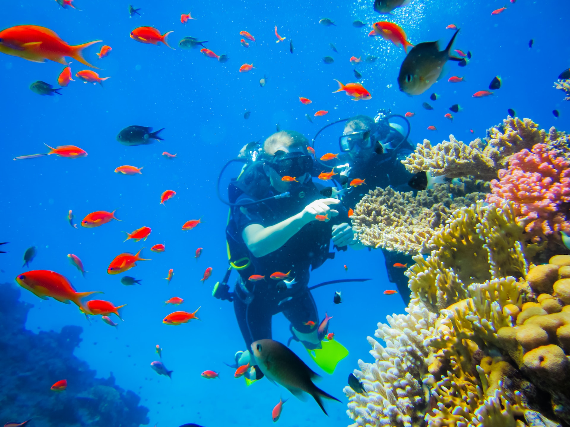 Guide to Snorkeling and Scuba Diving Adventures in Florida Keys